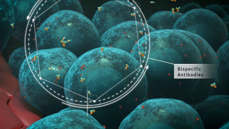 Portfolio - 3FX Medical Animations | Digital Solutions