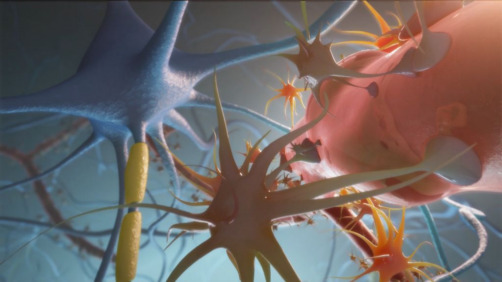 Portfolio - 3FX Medical Animations | Digital Solutions