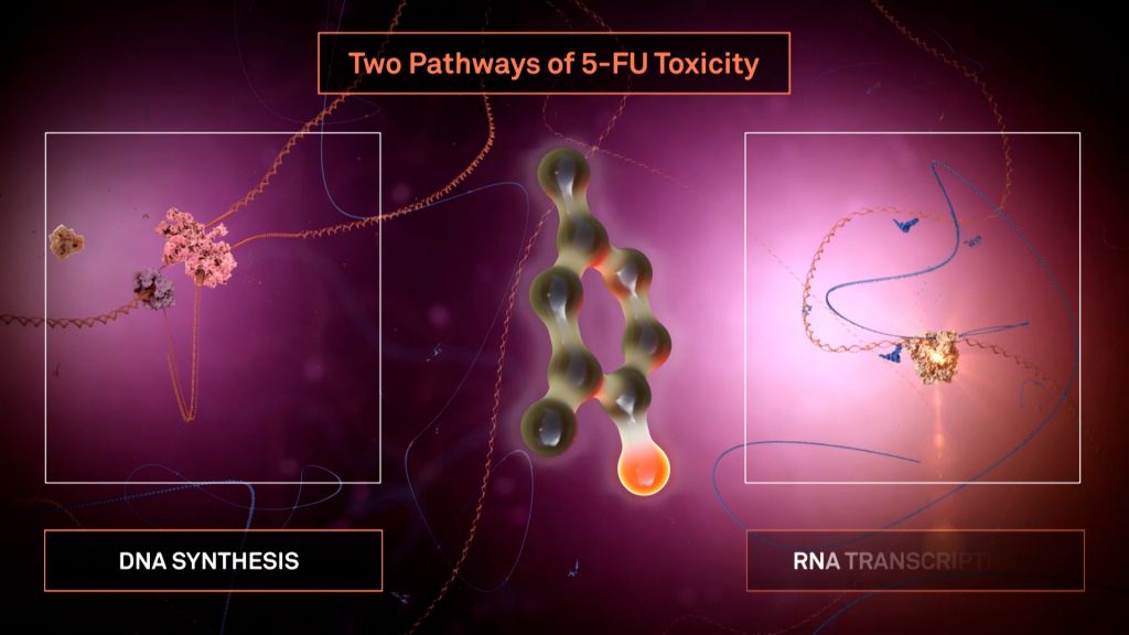Portfolio - 3FX Medical Animations | Digital Solutions